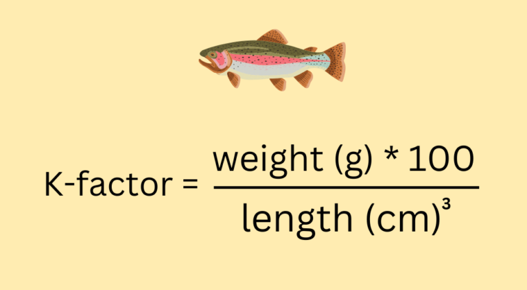 Calculator for calculating K-Factor in Trout - Calcolate.com